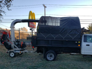 Leaf Collection – Tarpco